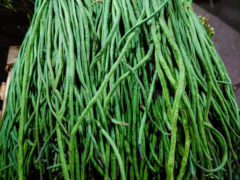 Long Beans are a Type of Vegetable that is in Great Demand by People ...