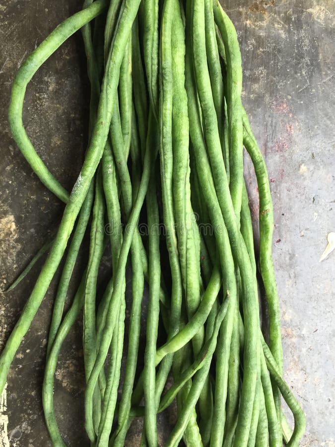 Long Beans Used As a Complement To Vegetables Stock Image - Image of ...