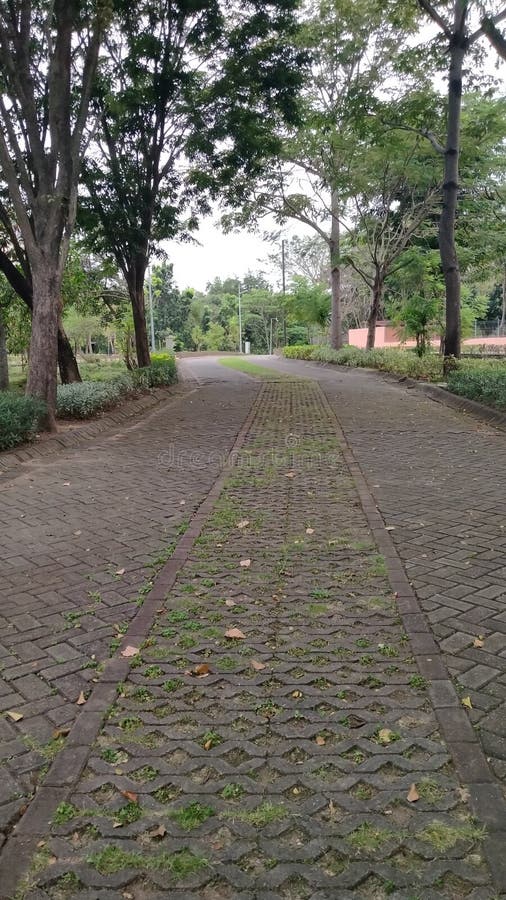 Long and Beautiful Path in the Garden Stock Image - Image of shrub ...