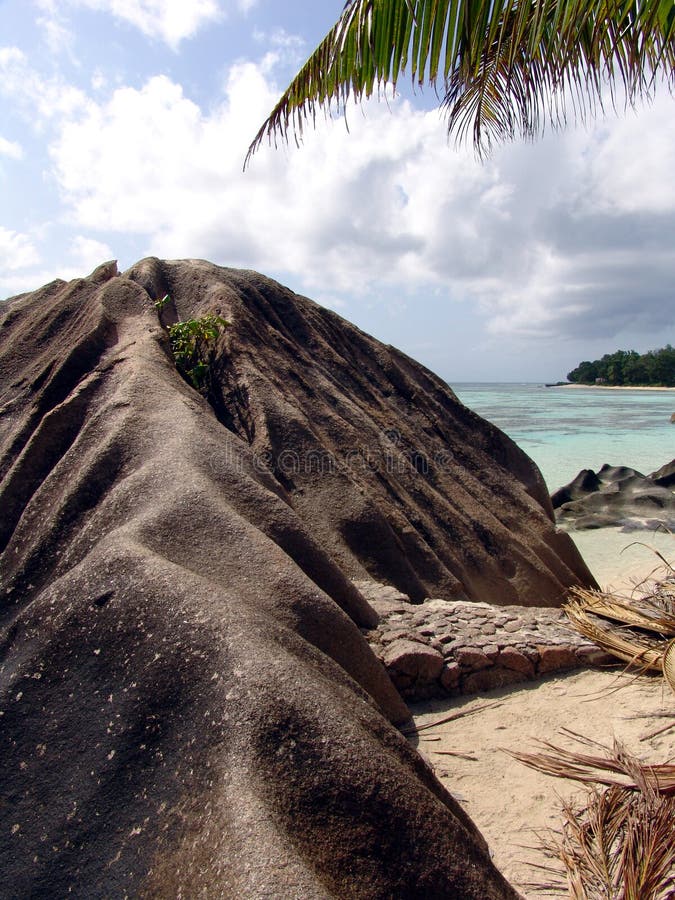 Long Beautiful Sea Stones in Beach on the Seychell Stock Photo - Image ...