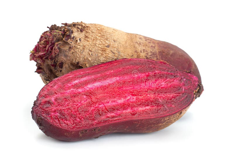 Long beet-root closeup stock photo. Image of root, fresh - 135805788
