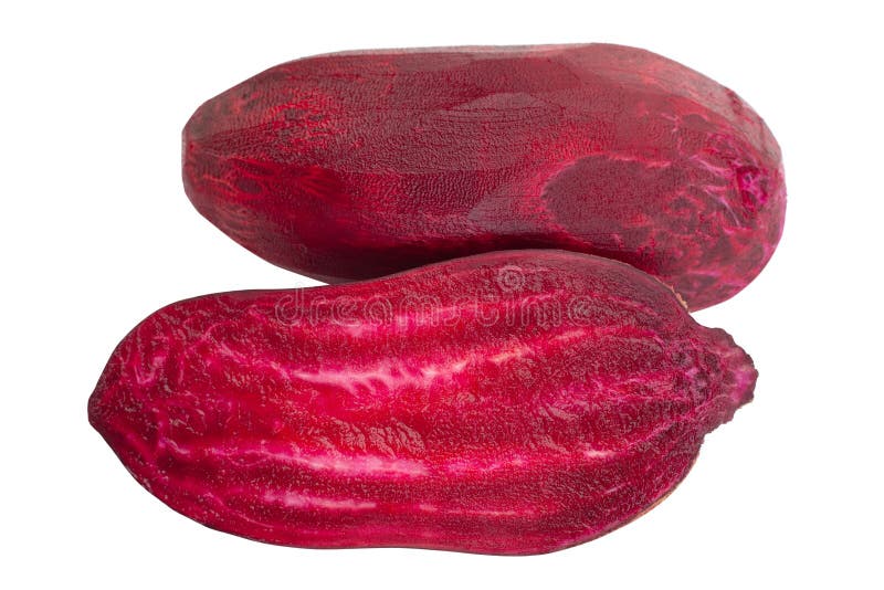 Long beet-root closeup stock photo. Image of closeup - 210698968