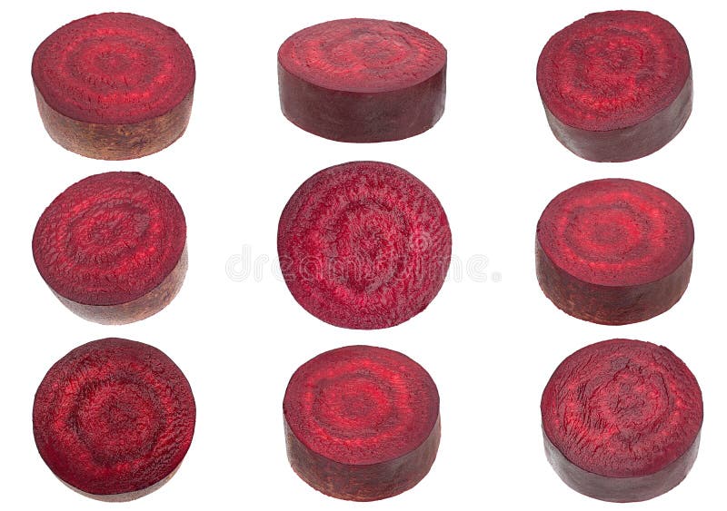 Long beet-root collection stock image. Image of white - 143250965