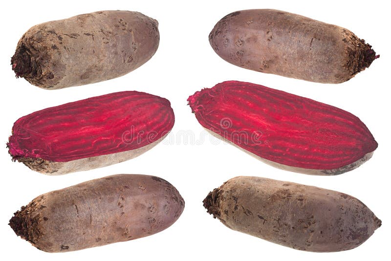 Long Beet Root Collection on White Stock Photo - Image of long, ripe ...