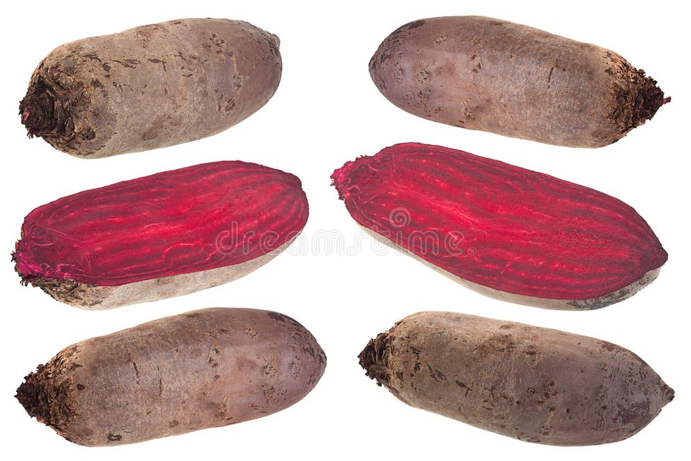 Long Beet Root Collection on White Stock Photo - Image of long, ripe ...