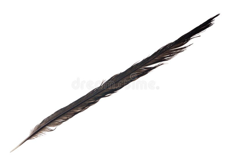 717 Raven Feather Abstract Black Stock Photos - Free & Royalty-Free ...