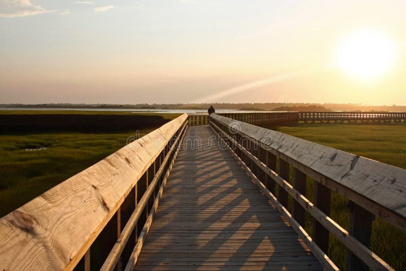 Long boardwalk over marsh stock image. Image of lines - 10073599