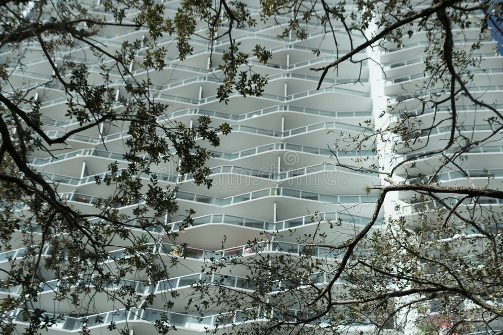 Long Branches Frame a Condominium Skyscraper on 1st Avenue Stock Image ...