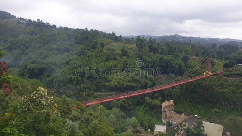 Long Bridge in jungle stock photo. Image of reservoir - 269720764