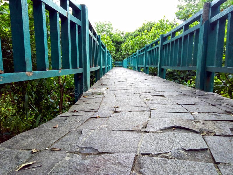 A Long Bridge Surrounded by Trees Stock Image - Image of flooring, yard ...
