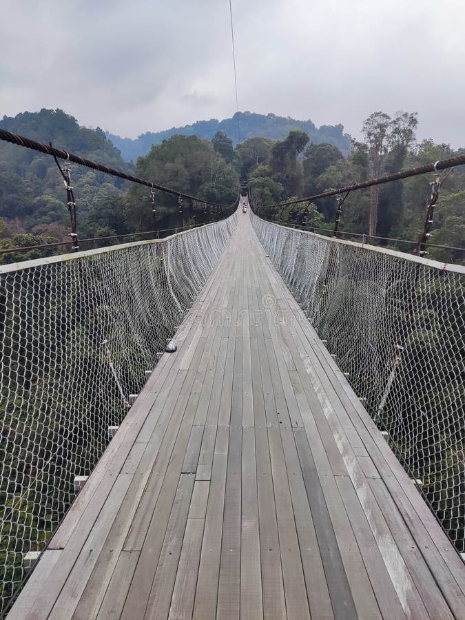 Long Bridges Cut through Forests and Mountains in Ancient Valleys Stock ...