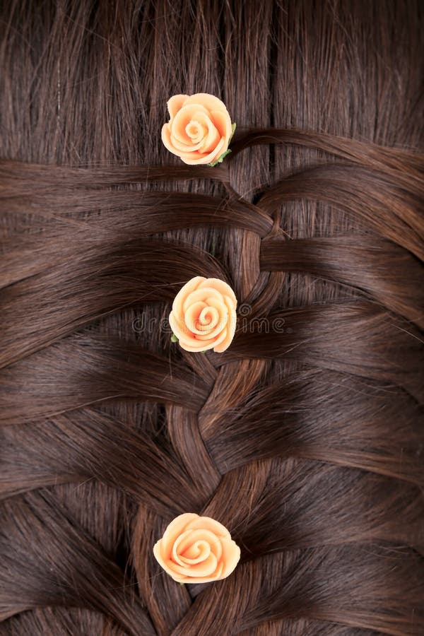 Long Brown Hair Braid. Back View. Stock Photo - Image of brunette ...