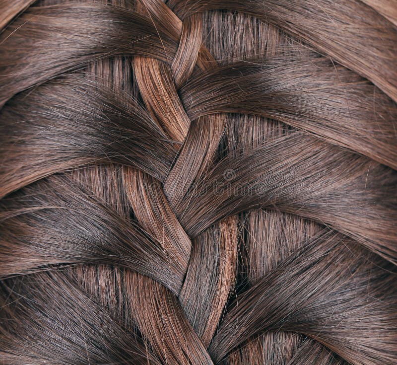 Long Brown Hair Braid. Back View. Stock Image - Image of model, colour ...