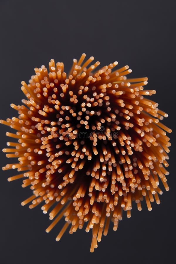 Long Brown and One-piece Pasta. Closed Brown Pasta from Close and ...