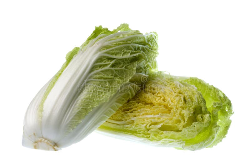 Long Cabbage Isolated stock image. Image of meal, cuisine - 7011591