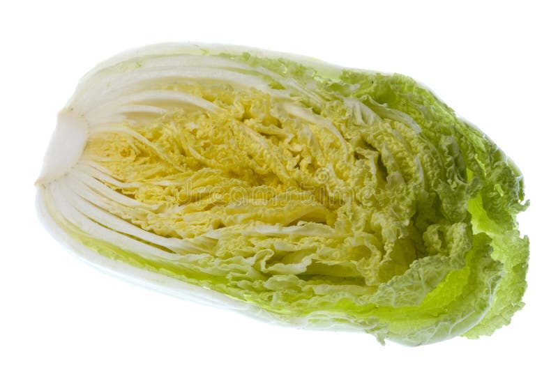 Long Cabbage Isolated stock image. Image of meal, edible - 7011731