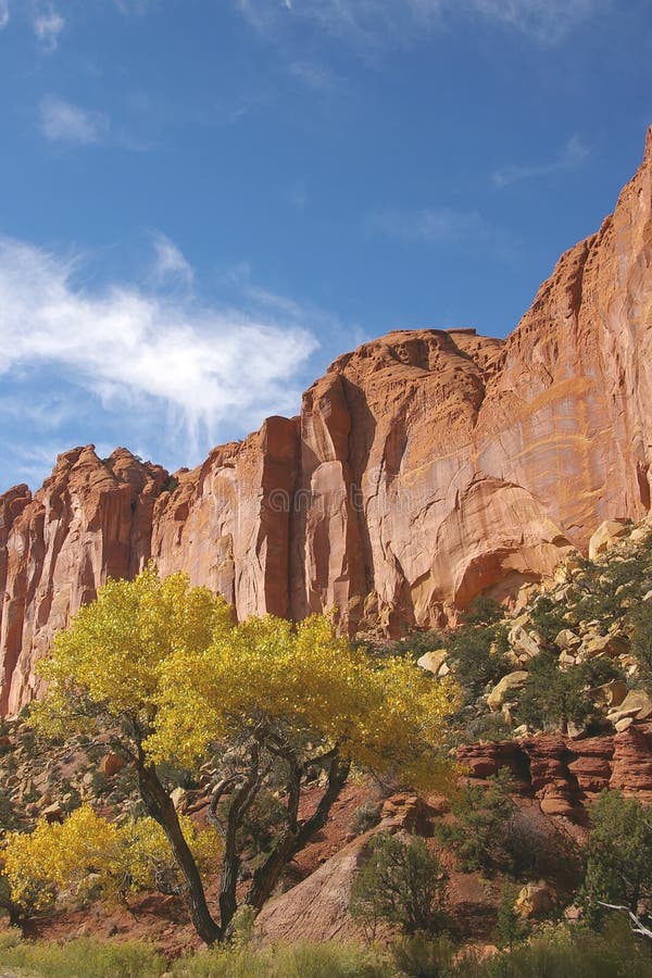 Long Canyon 2 stock image. Image of landscape, southwest - 4569893