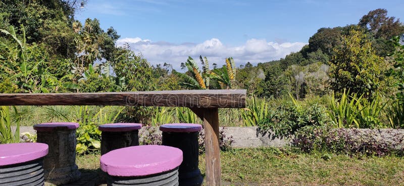 Long Chair with Nice Background Stock Image - Image of tree, walkway ...