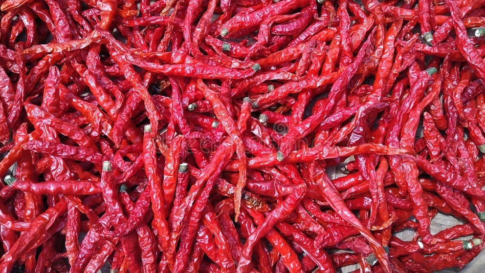 Long Chili 1 stock image. Image of pepperoni, cayenne - 309878997