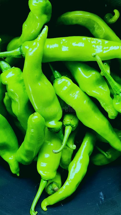 Long chilly green stock image. Image of chill, yellow - 252619687