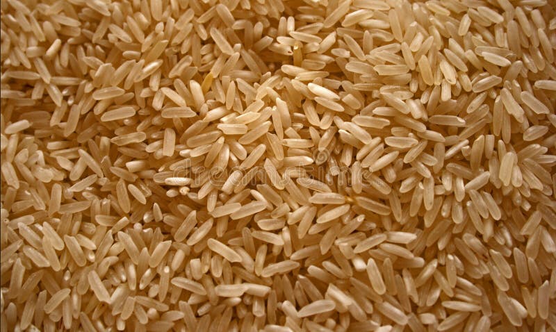 Long Classic Rice in a Hand Stock Photo - Image of plant, legume: 6879156