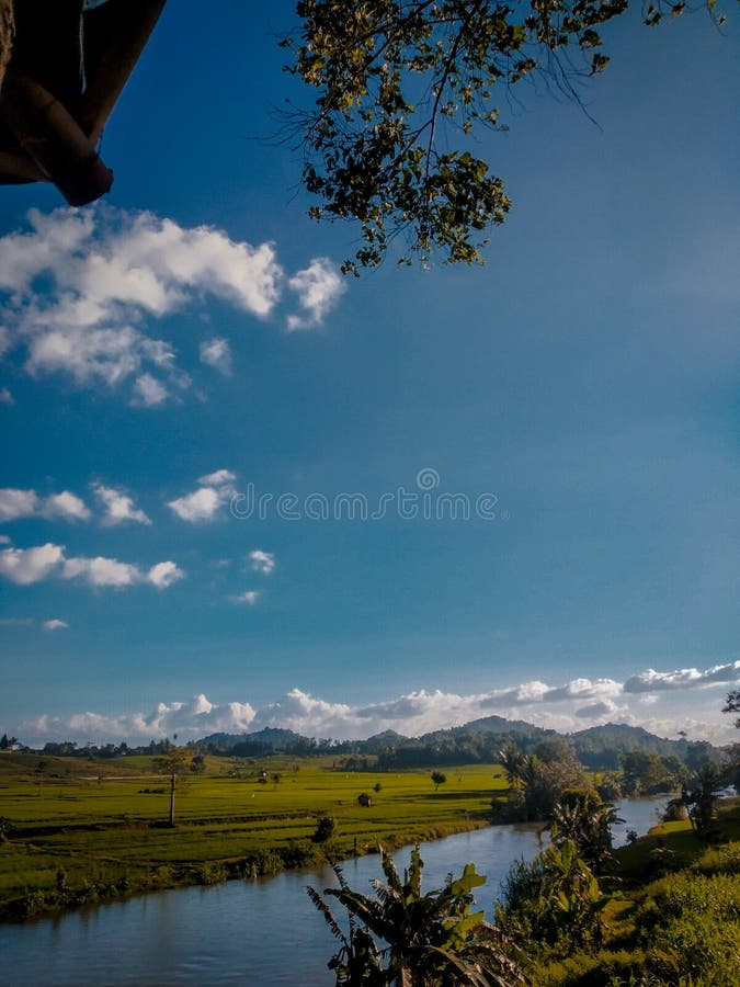 Long and clear river fresh stock image. Image of plain - 261781363