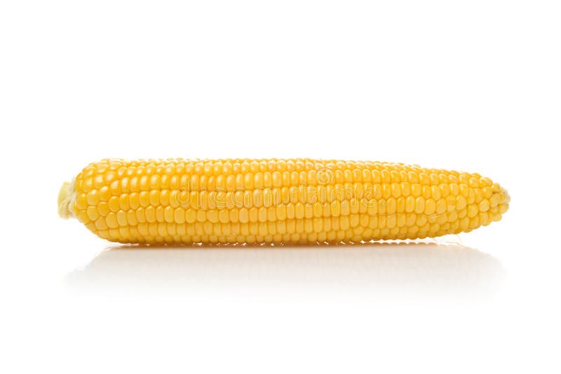 Long Corn Cob on White Background Stock Photo - Image of fresh, produce ...