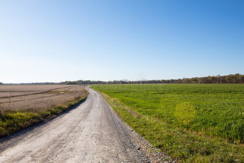 Long Country Road through Autumn Fields Stock Image - Image of gravel ...