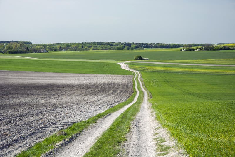 Long Country Road and Fields Stock Image - Image of nature, lane: 134523385