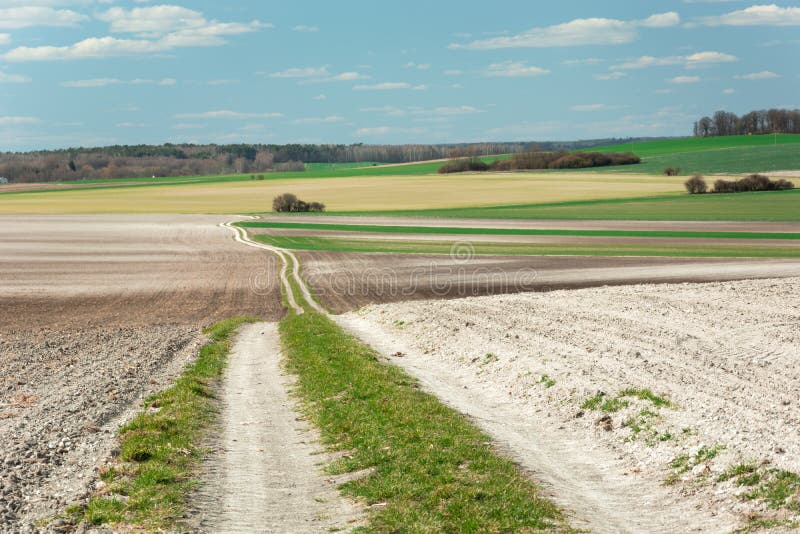 Long Country Road through Fields, Forest and Sky Stock Image - Image of ...