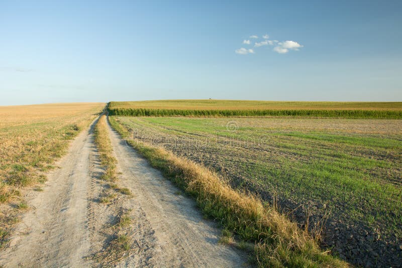 A long country road stock photo. Image of long, clouds - 51089950