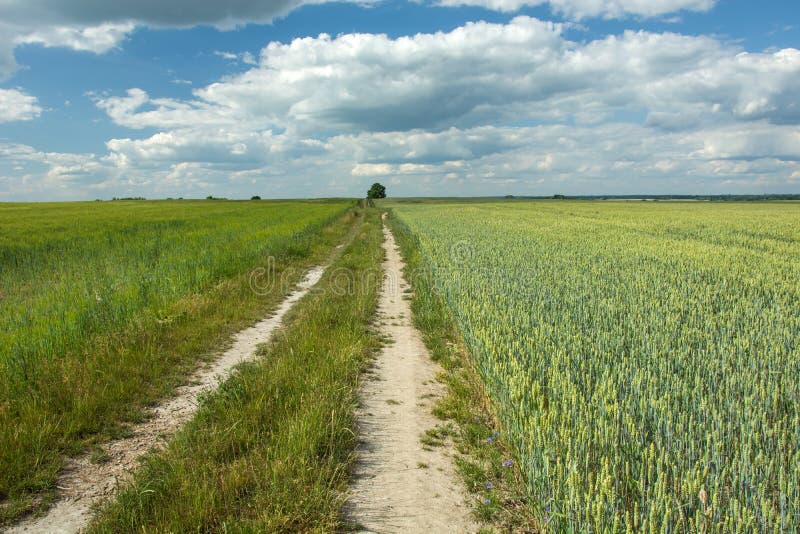 A Country Road through Green Fields and Clouds after Sunset Stock Image ...