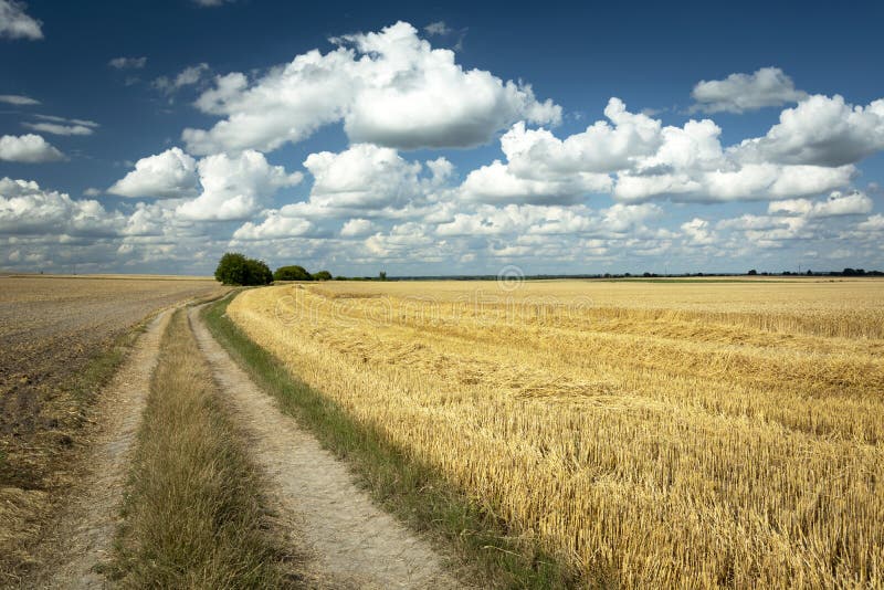 Long Country Road Landscape and Harvests in the Field Stock Photo ...