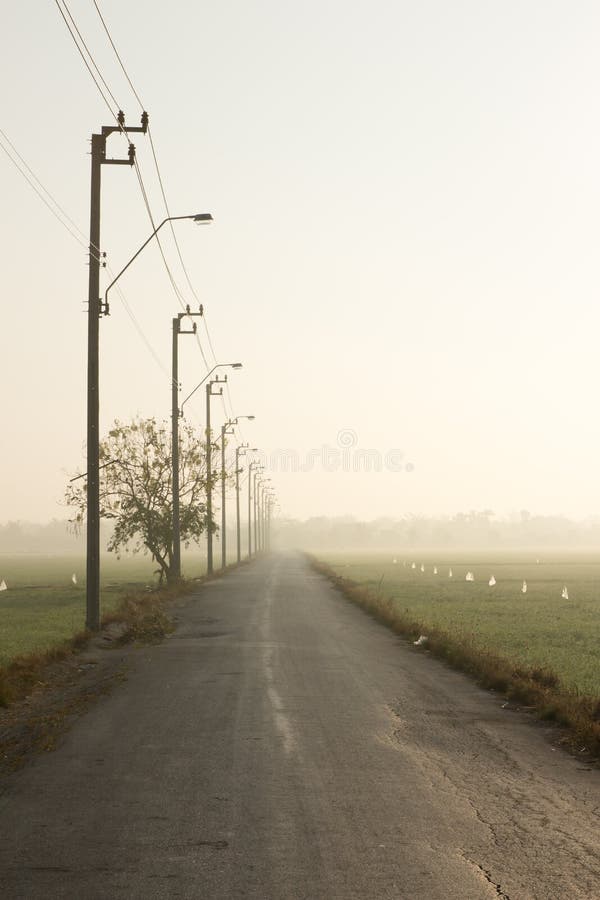 Long Country Road in Thailand Stock Photo - Image of markings ...
