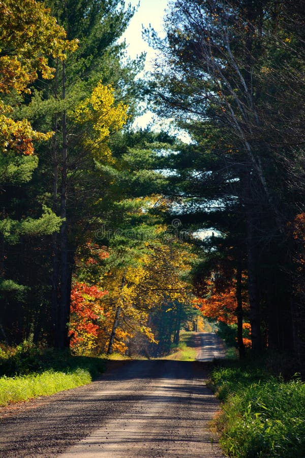 Long Country Road stock image. Image of road, brown, outdoors - 36053797