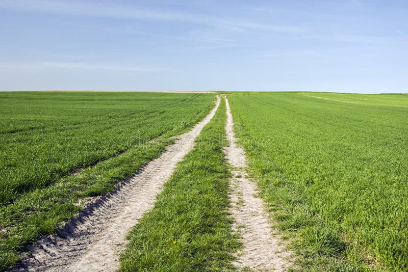 Long Country Road through the Fields Towards the Horizon Stock Image ...