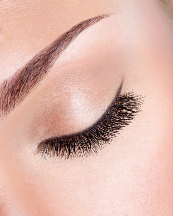 Long curly eyelashes stock image. Image of eyebrow, human - 31713305
