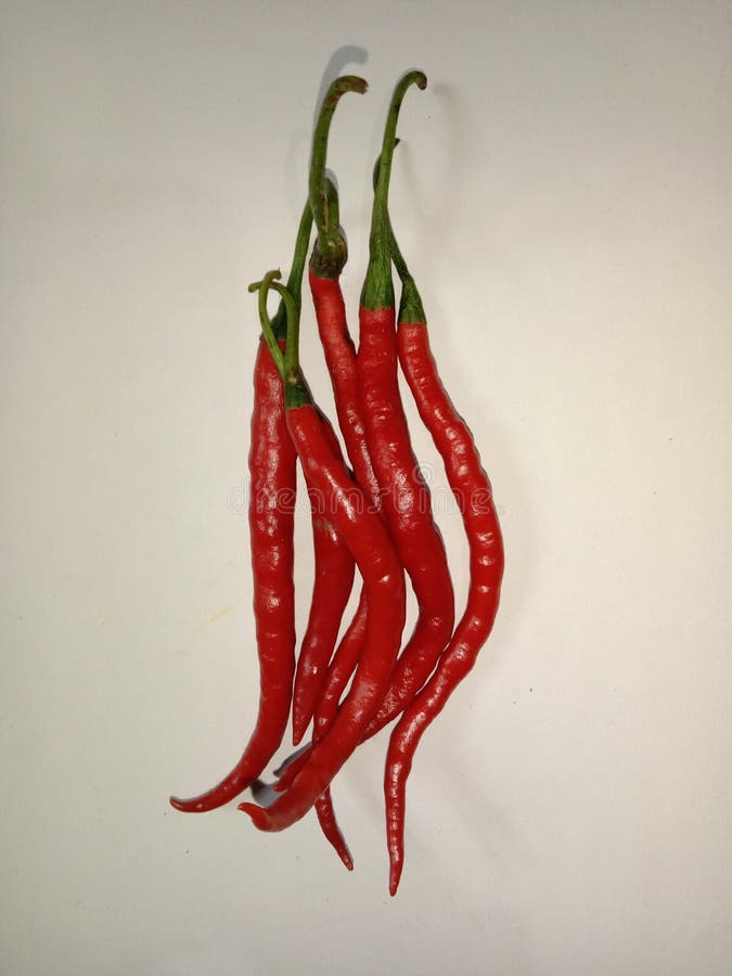 Long Curly Red Chili, Delicious Spicy Stock Photo - Image of chili ...