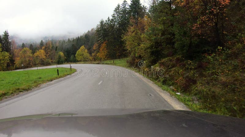 Long and Curve Road with Trees and Grass on the Side Stock Video ...