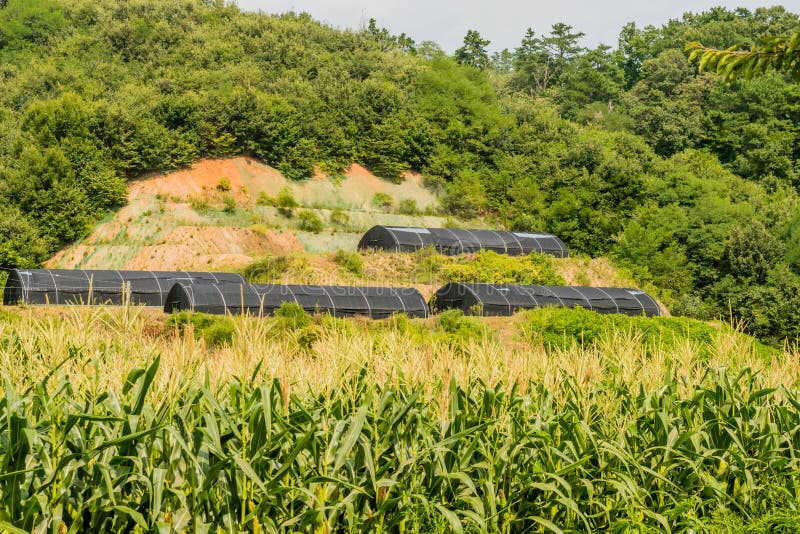 Long Curved Black Covered Structures on Hillside Stock Photo - Image of ...
