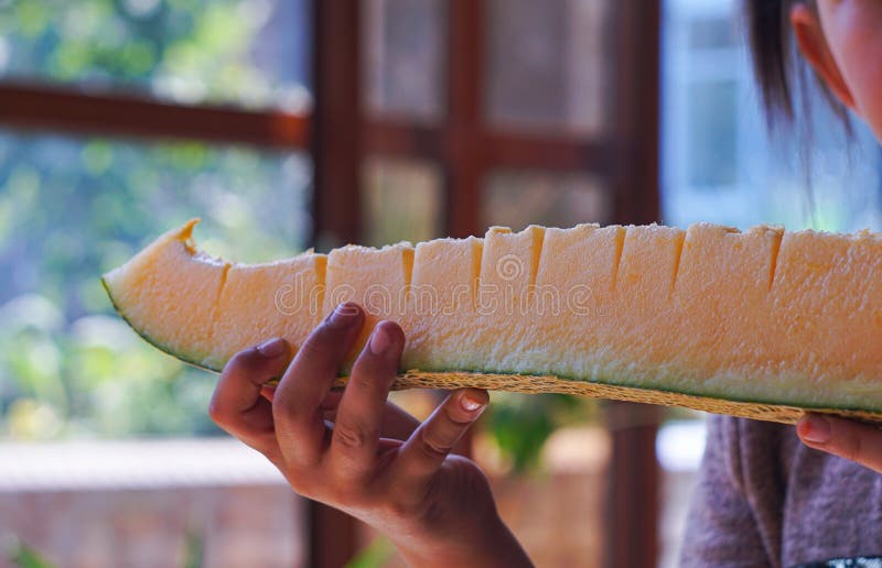 Long cut melon stock photo. Image of nutrition, natural - 236592334