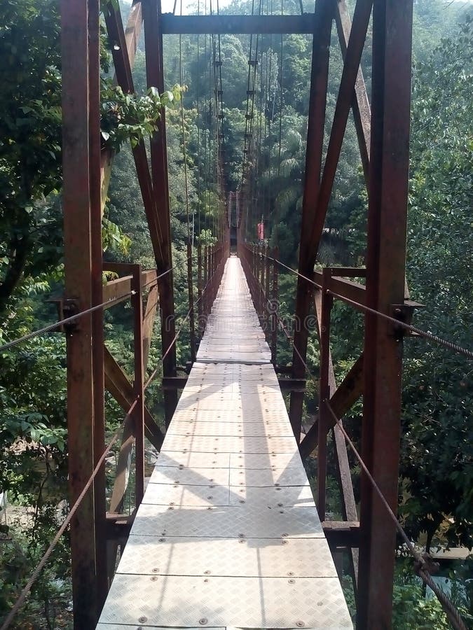 A dangling bridge stock image. Image of river, dangling - 115551857