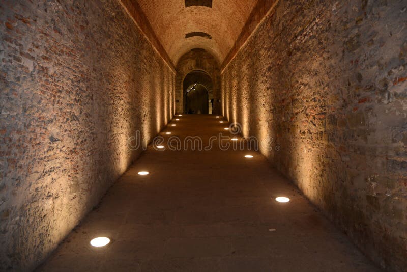 Long Dark Corridor Illuminated with Lights on the Ground Stock Photo ...