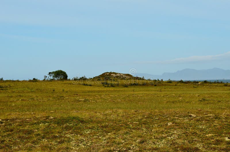 Long Deep Field Near Seashore with Blue Summer Sky Stock Image - Image ...