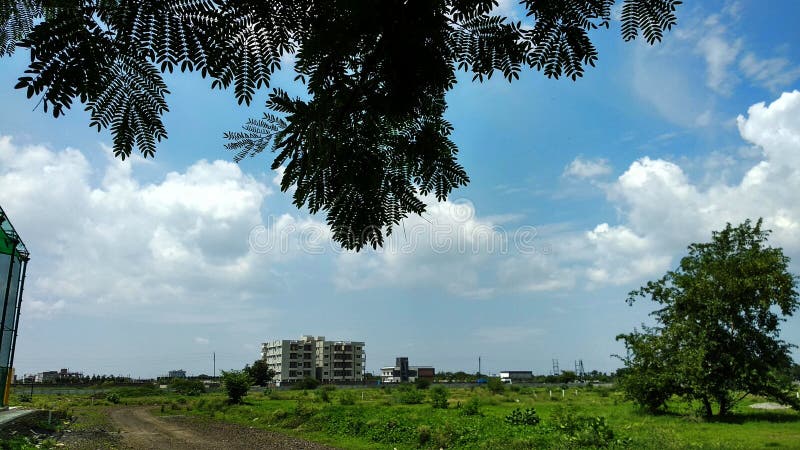 Long Depth Field Landscape Image Tree Covered in Front. Stock Photo ...