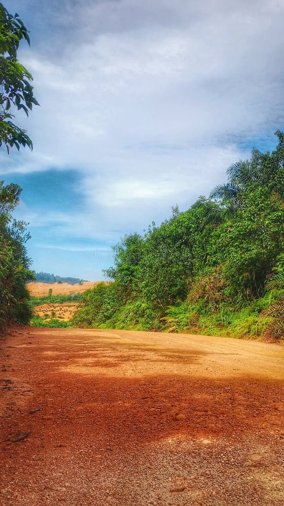 A Long Dirt Road Bisects the Forest and Nature Stock Photo - Image of ...