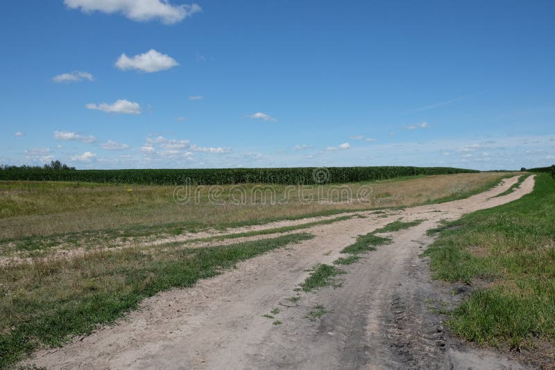 Long Dirt Road in a Field Under a Blue Sky. Scenery Stock Photo - Image ...