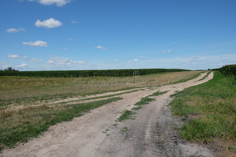 Long Dirt Road in a Field Under a Blue Sky. Scenery Stock Photo - Image ...