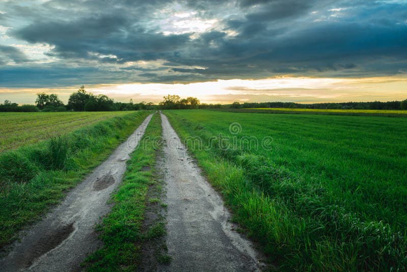 Long Dirt Road through Fields and Evening Clouds on the Sky Stock Photo ...