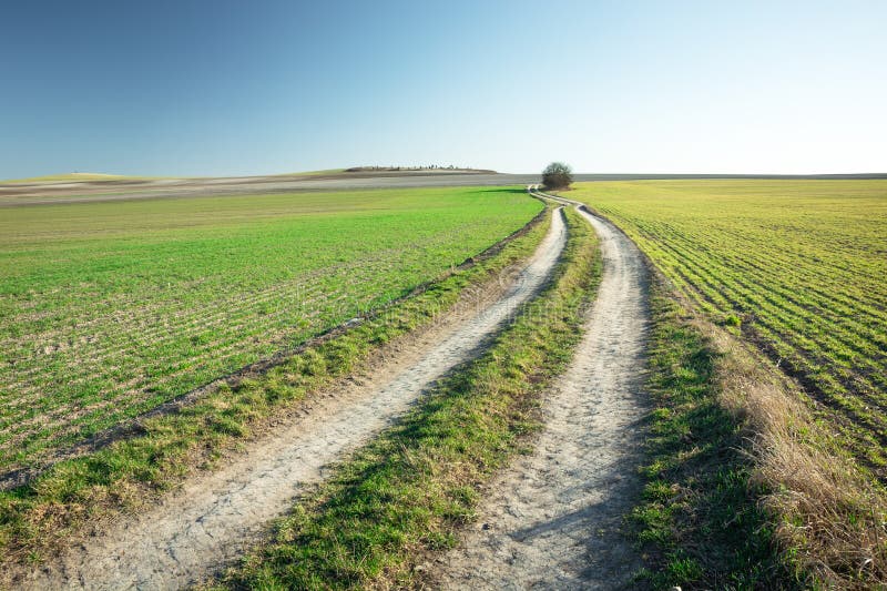A Long Dirt Road through Fields, Horizon and Blue Sky Stock Photo ...